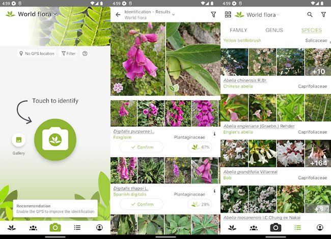 Top 5 apps gratuitos para identificar plantas no Android